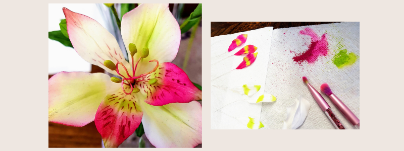 Sugar Flowers - Silverleaf Cake Company - Northamptonshire